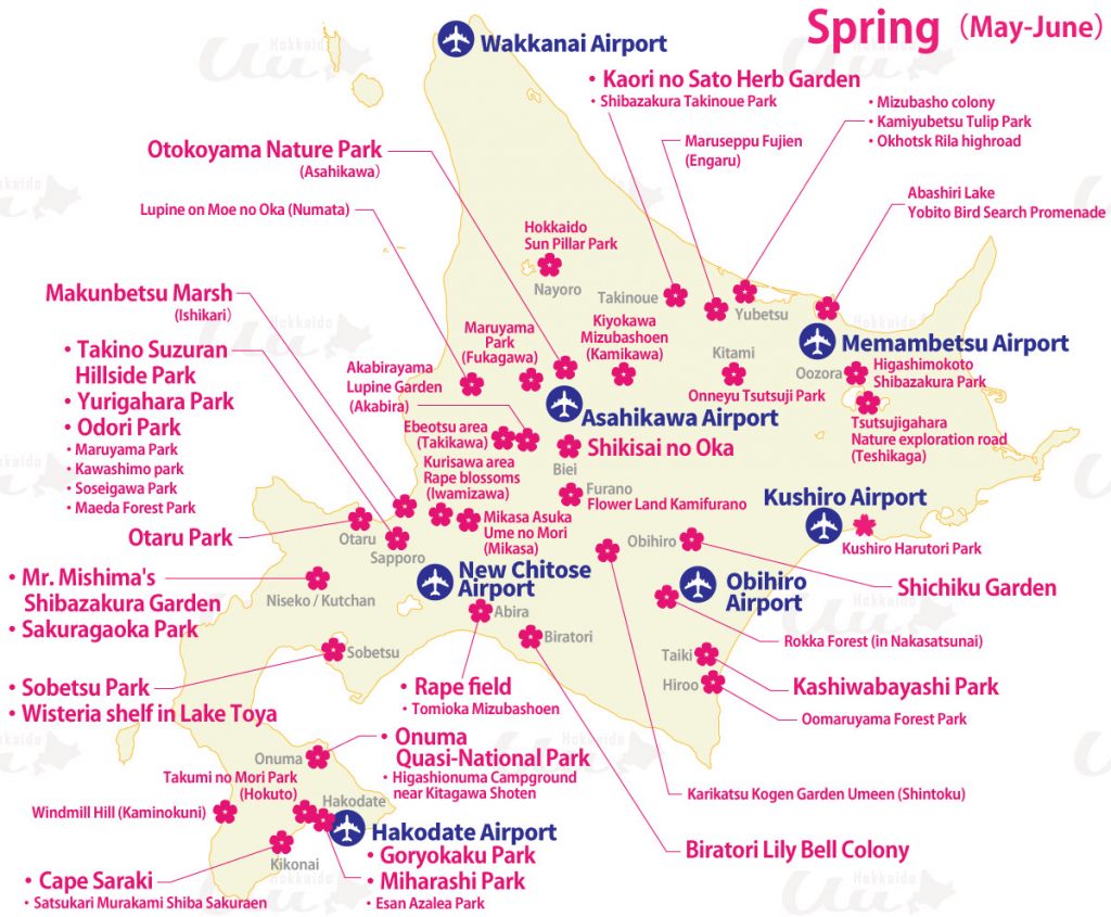 Spring Flowers in Hokkaido (April - June)｜UU-Hokkaido Official Site