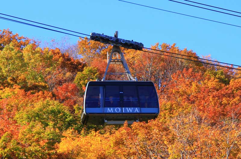 maru-maru Sapporo | Recommended Spots | Let's enjoy Sapporo! | UU ...